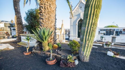 Cesar Manrique house museum in Haria - Things to do in Lanzarote ...