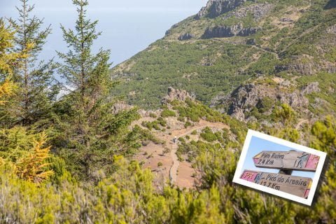 Peak to Peak walk in Madeira - Vereda Do Areeiro PR1 - Finally Lost