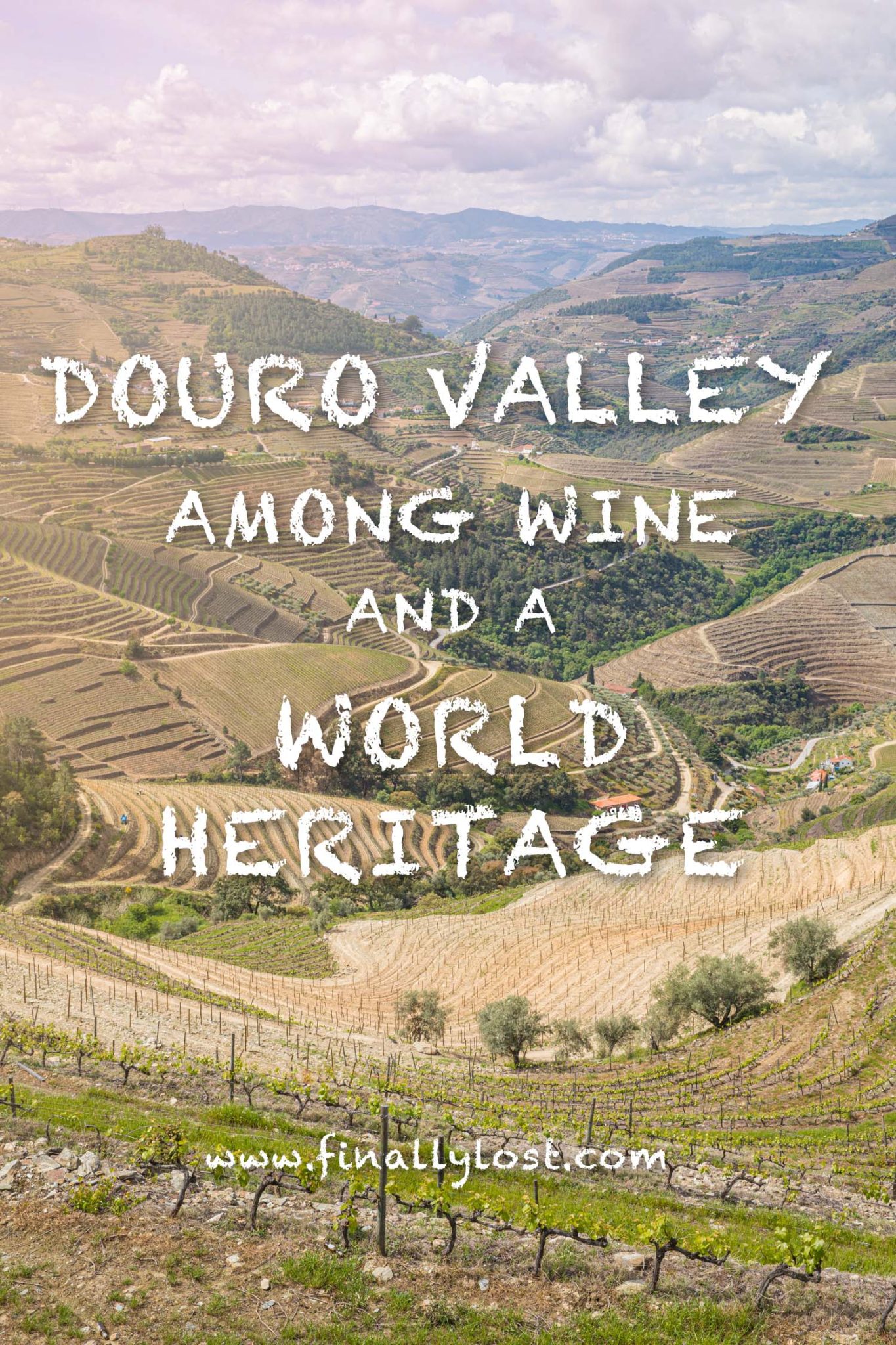 Douro Valley - Among wine and a world heritage - Finally Lost
